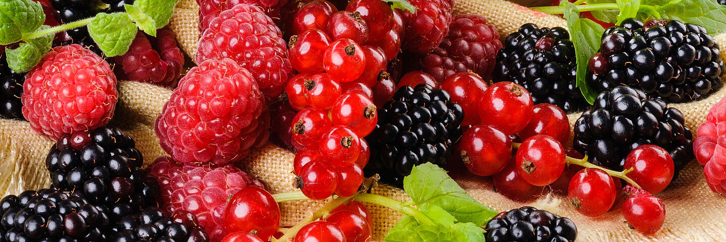 Fruity Taste Solutions - DÖHLER