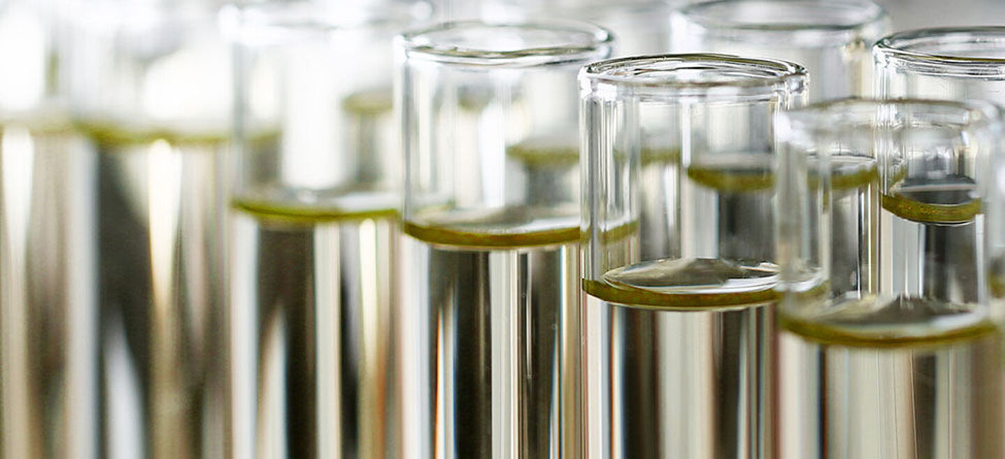 Special Juice Concentrates for Beverages - DÖHLER