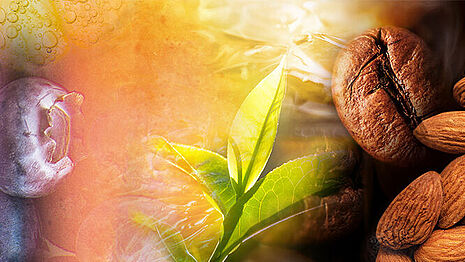 Natural Taste and Flavour Solutions for the Food & Beverage Industry ...