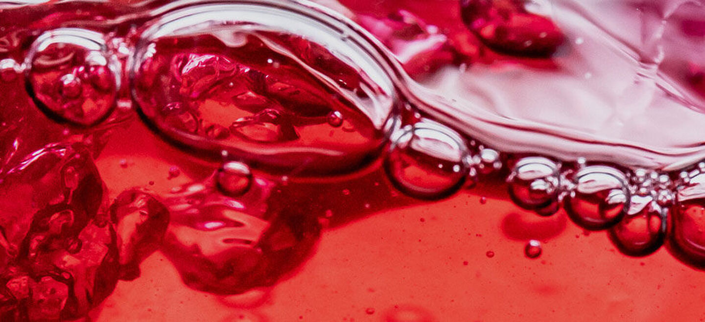 Juice Concentrates for the Food & Beverage Industry - DÖHLER
