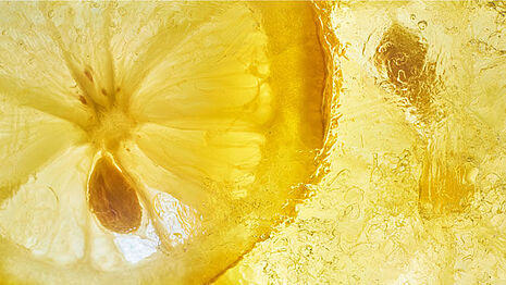 Citrus flavour: refreshing citrus flavours from DÖHLER - DÖHLER