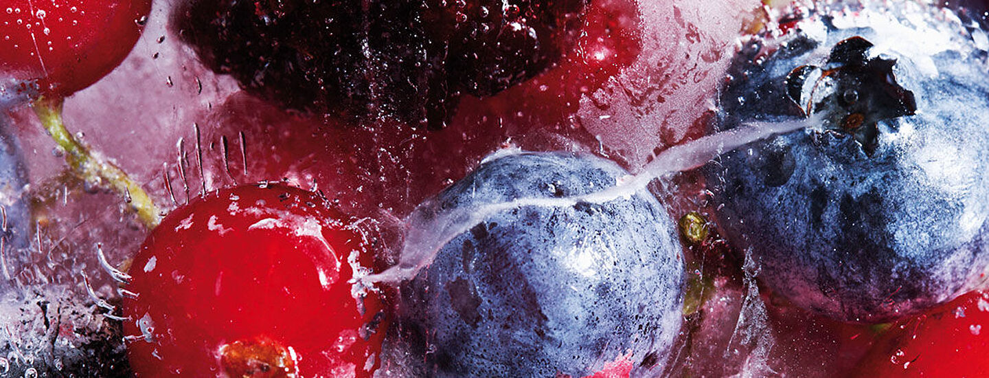 Fruit ingredients for the Food & Beverage Industry - DÖHLER