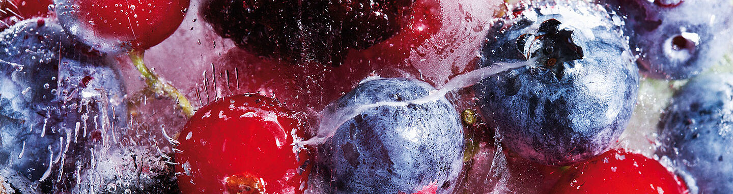 Fruit ingredients for the Food & Beverage Industry - DÖHLER